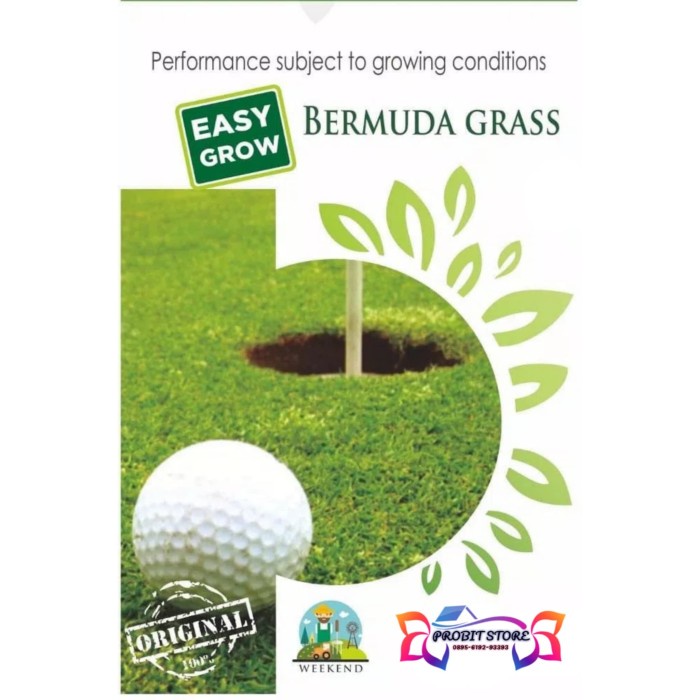 Jual BENIH RUMPUT BIJI RUMPUT BERMUDA GRASS ORIGINAL | Shopee Indonesia