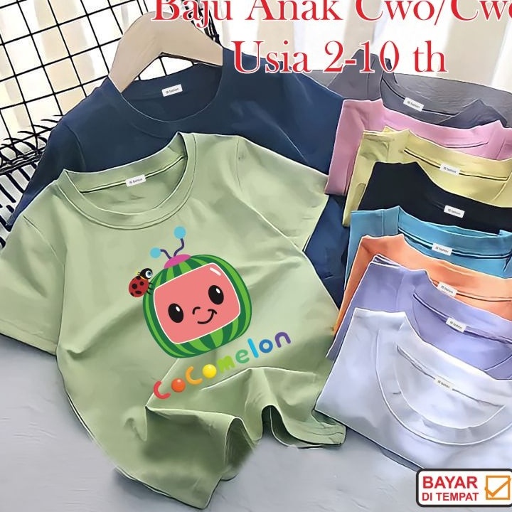 Jual IDH352 ((IB))KAOS ANAK2 UNISEX/COCO MELON DIGITAL SABLON ...