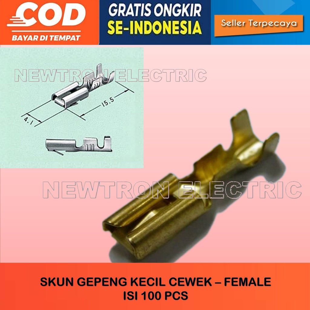 Jual ISI 100 PCS SKUN SOKET GEPENG KECIL FEMALE SKUN GEPENG UNTUK SOKET ...