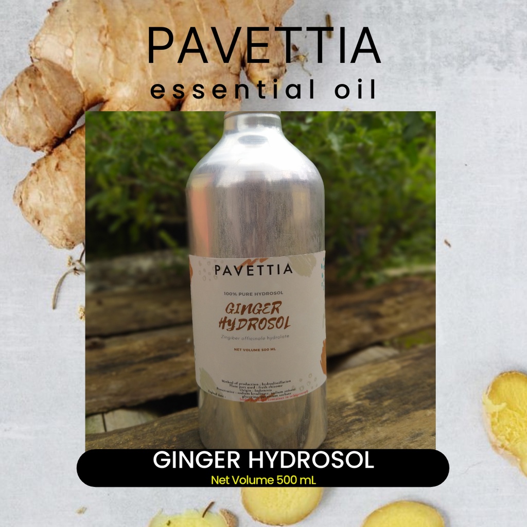 Jual 500 ml - Ginger hydrosol - aromatic water (Zingiber officinale ...