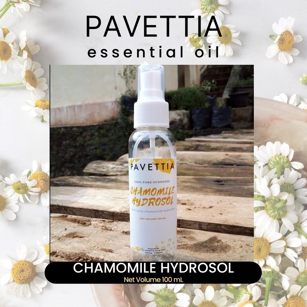 Jual Sample hydrosol 100 ml - Chamomile hydrosol - hidrosol bunga ...