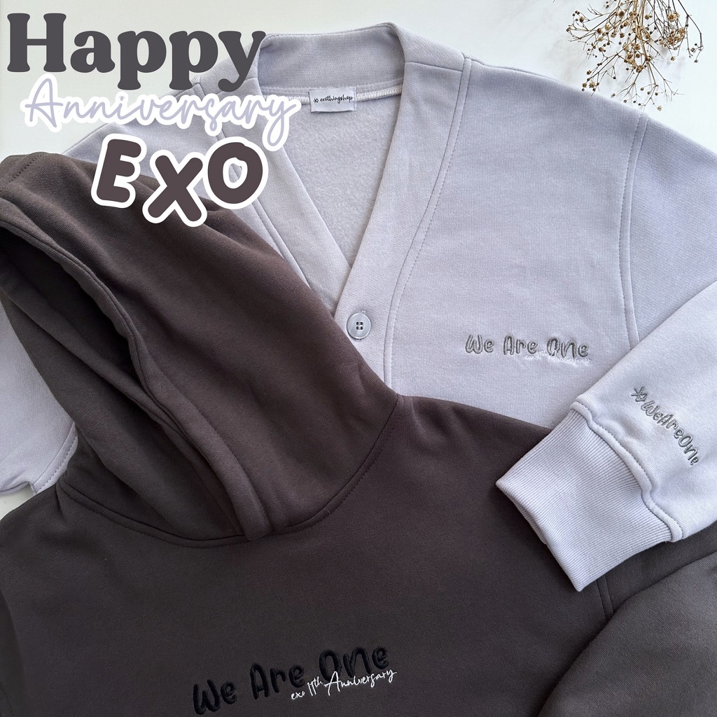 Jual Project Anniversary EXO | Shopee Indonesia