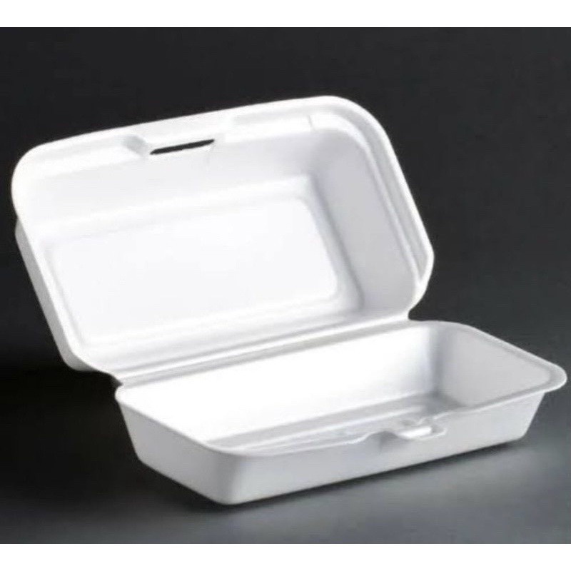Jual styrofoam kecil box/foam bubur/sterofoam | Shopee Indonesia