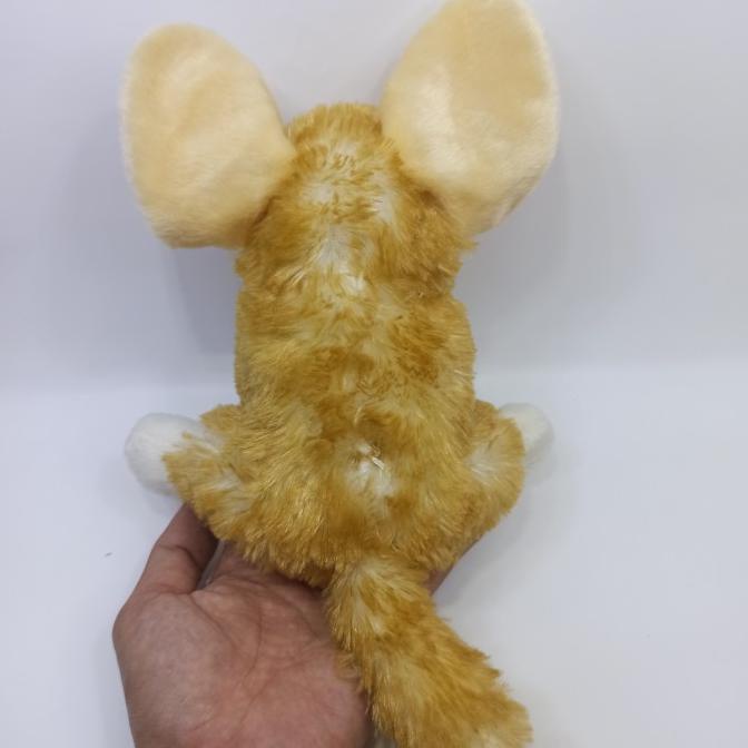 Jual BONEKA FENNEC FOX JEPANG ORIGINAL WILD REPUBLIK 2103 | Shopee ...