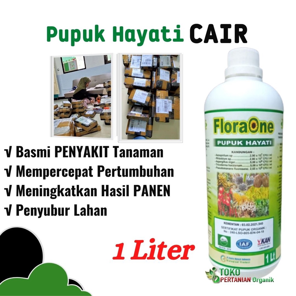 Jual Obat Fungisida Hayati Trichoderma Cair, Pupuk Busuk Buah Tanaman ...