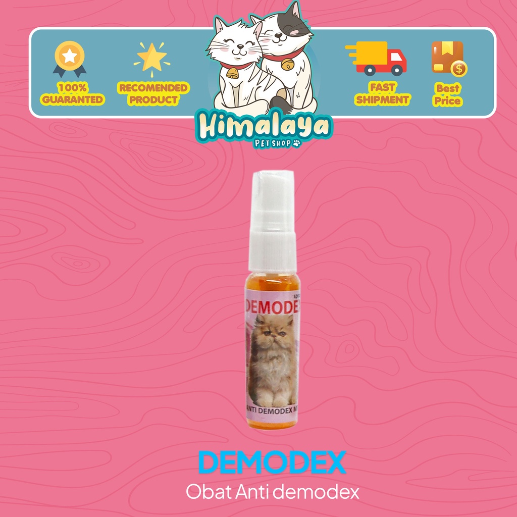 Jual Obat scabies kucing anti kutu tungau kudis - Demodex spray ...