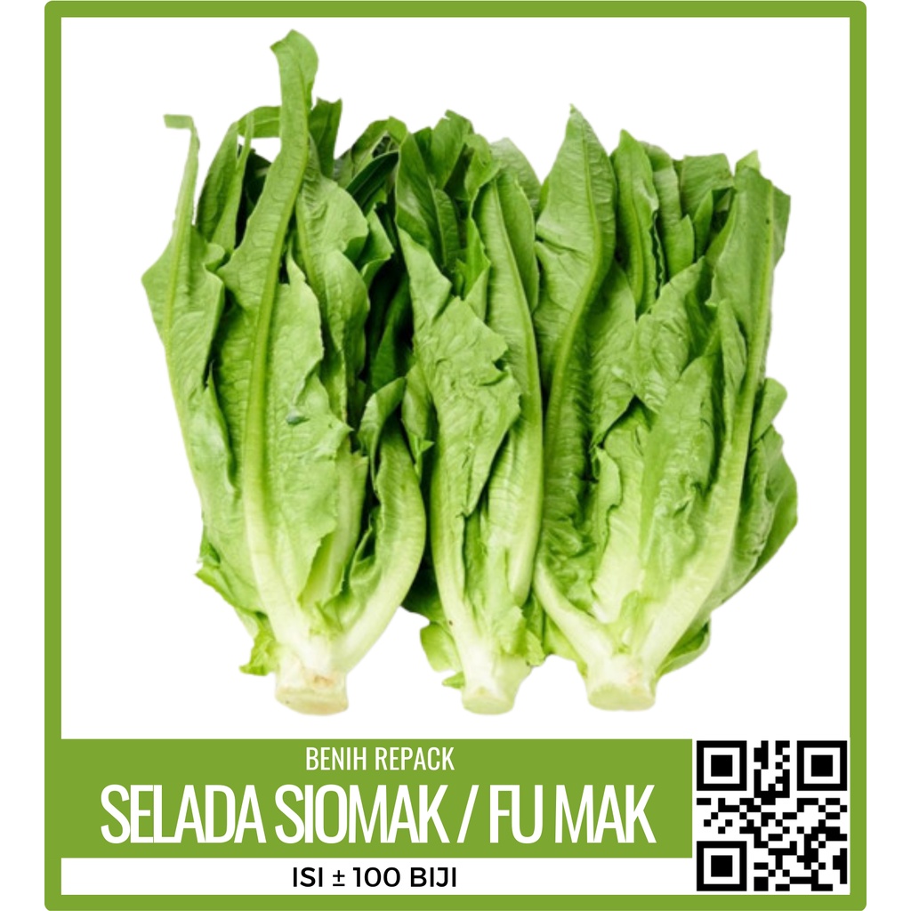 Jual BENIH BIBIT SELADA WANGI SIOMAK ISI 200 AN KEMASAN REPACK ZIP LOCK ...