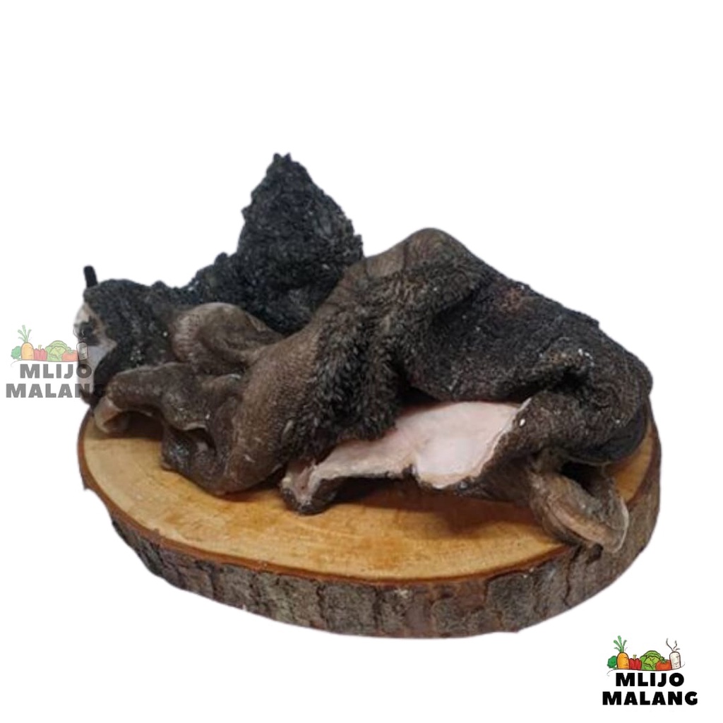 Jual Babat sapi 500 gr | Shopee Indonesia