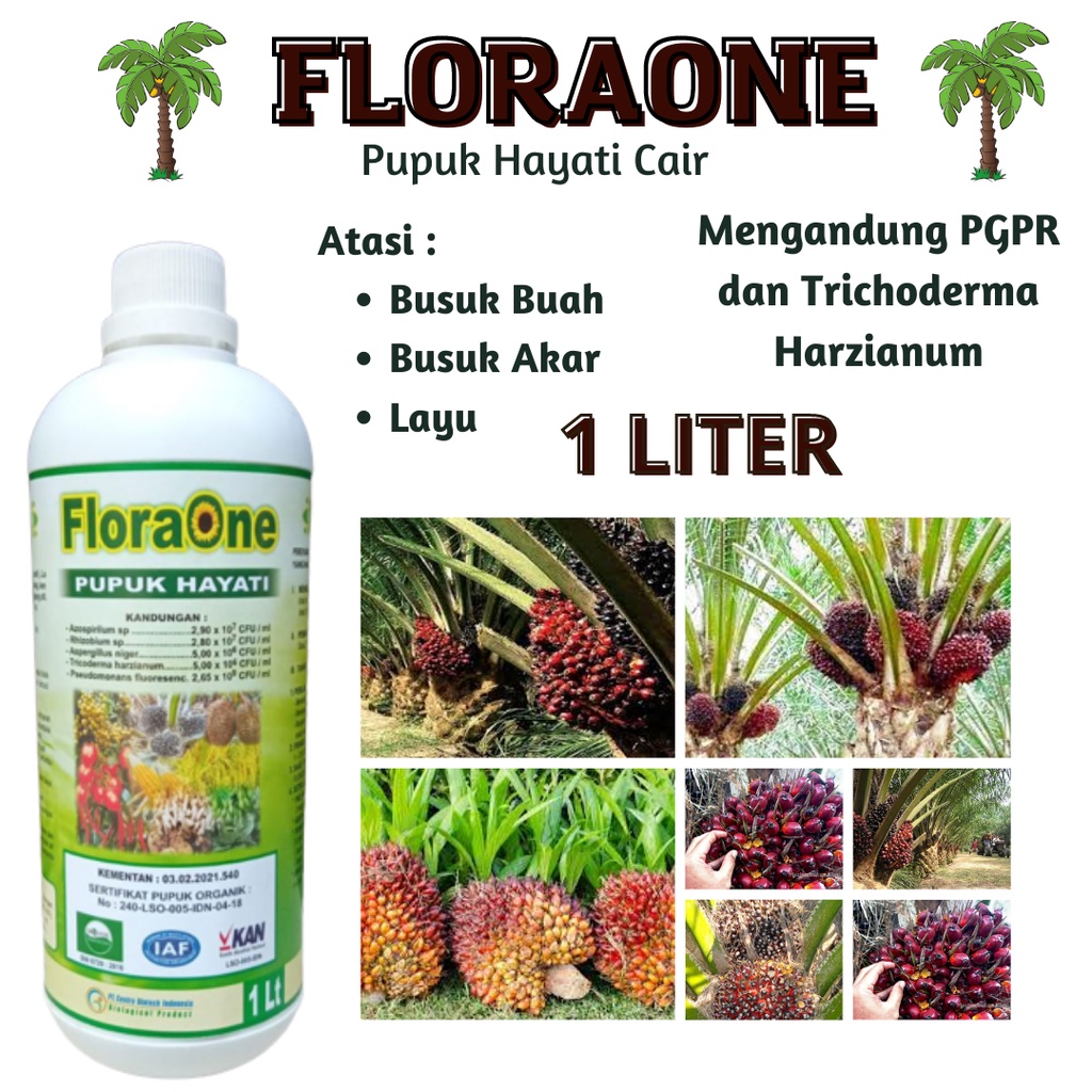 Jual Pupuk PGPR, Pupuk organik Hayati Trichoderma Harzianum Rhizobium ...