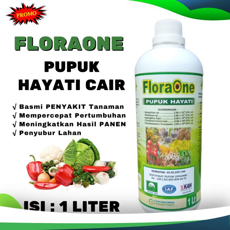Jual PGPR 1 Liter TANAMAN SEBAGAI BIOPROTECTANT PADA TANAMAN, Pupuk ...