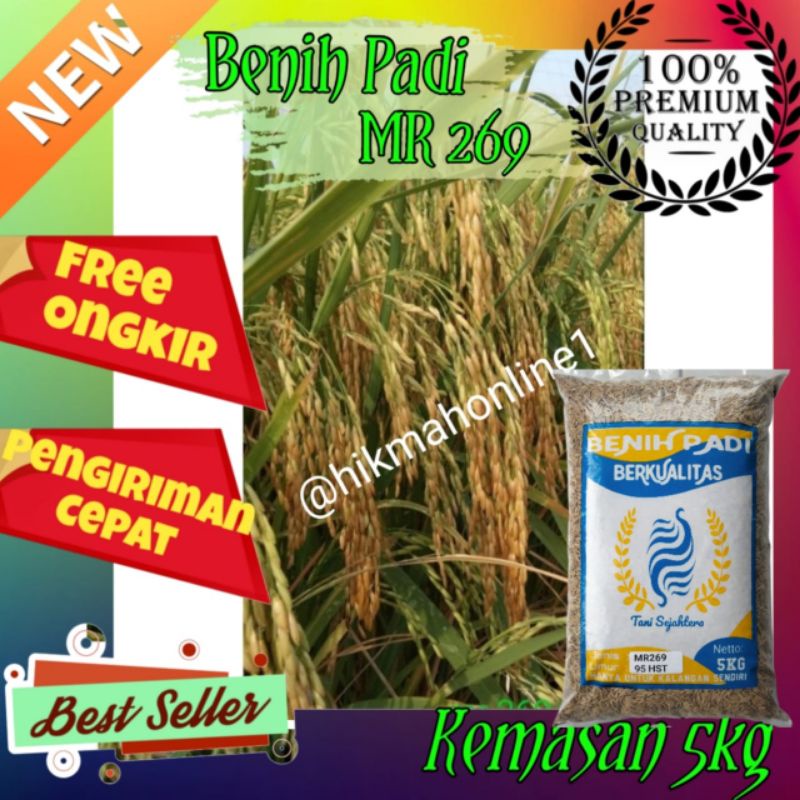 Jual Benih bibit padi MR 269 kemasan 5kg | Shopee Indonesia