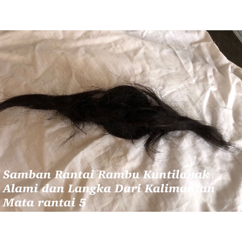 Jual Samban Rambut KTL Rantai 5 Langka | Shopee Indonesia