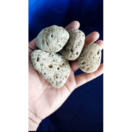 Jual BATU APUNG PUMIC STONE/BATU APUNG MEDIA FILTER KOLAM IKAN/RUMAH ...