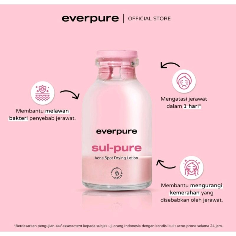 Jual EVERPURE SUL-PURE ACNE SPOT DRYING LOTION OBAT TOTOL ATASI JERAWAT DALAM 1 HARI DENGAN ...