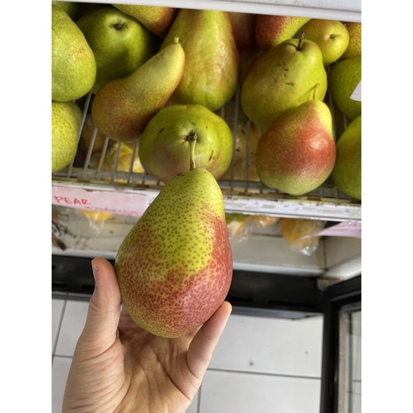 Jual 900-1000gr buah pear forella pir forolla( pear jambu ) import per ...