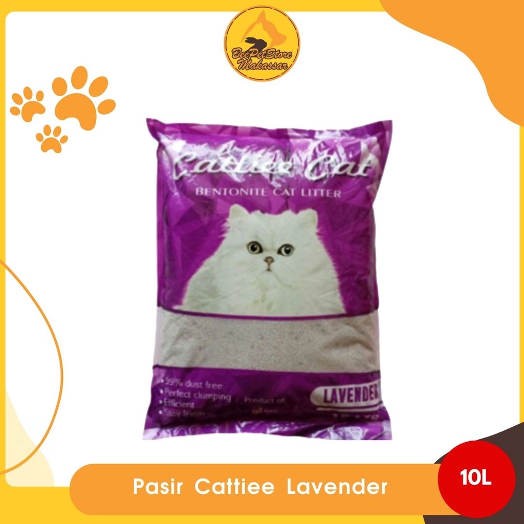 Jual Pasir Kucing KHUSUS GOJEK/GRAB Makassar-Pasir Cattiee 10L Lavender | Shopee Indonesia