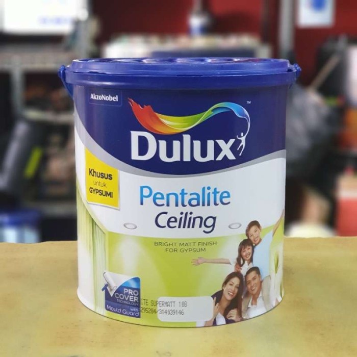 Jual Dulux pentalite ceiling 25kg | Shopee Indonesia