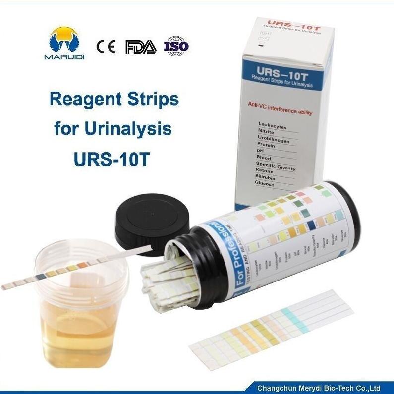 Jual Limited Urinalysis Reagent Strip 10 Parameter 100 Strip Test Urine ...