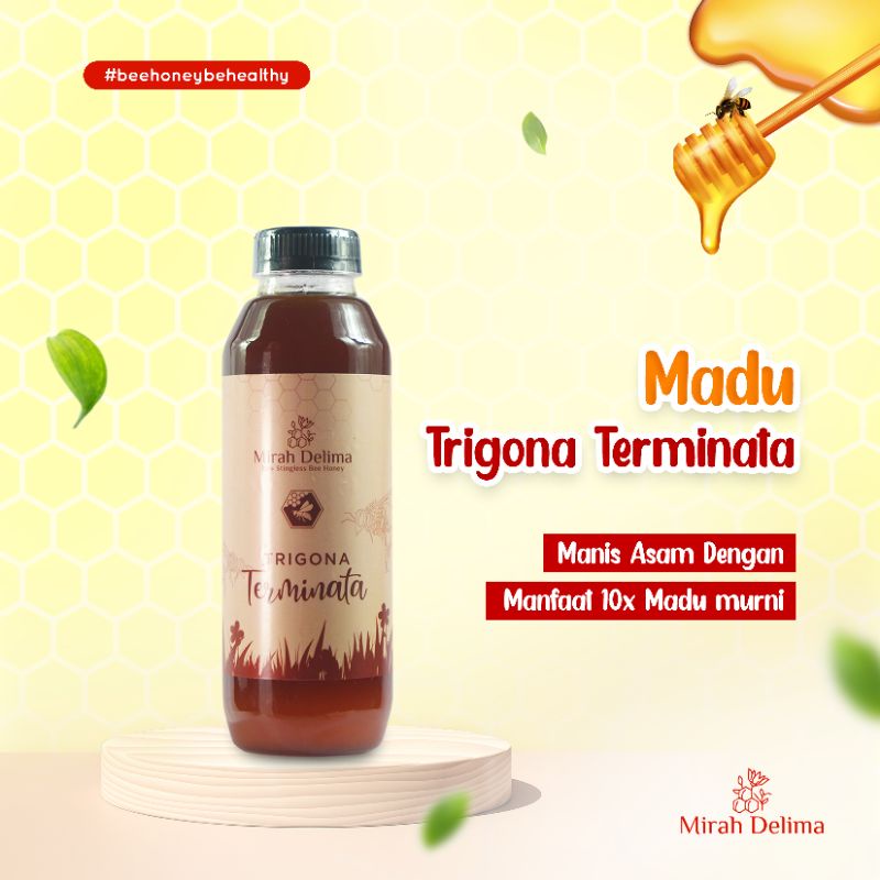 Jual Madu Klanceng - Trigona Terminata - 500 ml | Shopee Indonesia
