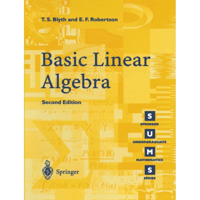 Jual HOT SALE!!! BASIC LINEAR ALGEBRA- TS BIYETH TERMURAH | Shopee ...