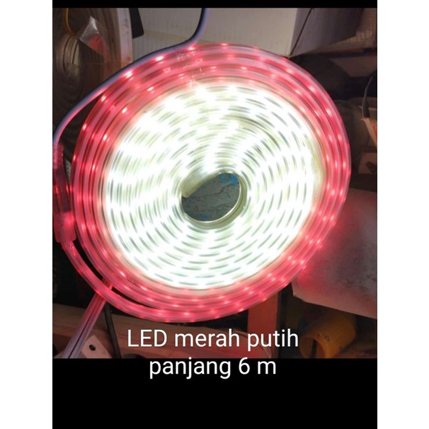 Jual LED strip merah putih panjang 6 m | Shopee Indonesia