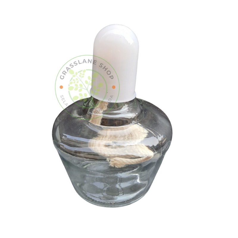 Jual Alcohol Lamp Lampu Alkohol Pembakar Spiritus 150ml / 250 ml Bunsen ...