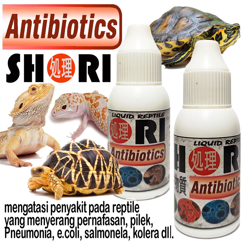 Jual SHORI OBAT ANTIBIOTIK REPTIL KURA SUPLEMENT VITAMIN ULAR TORTOISE ...