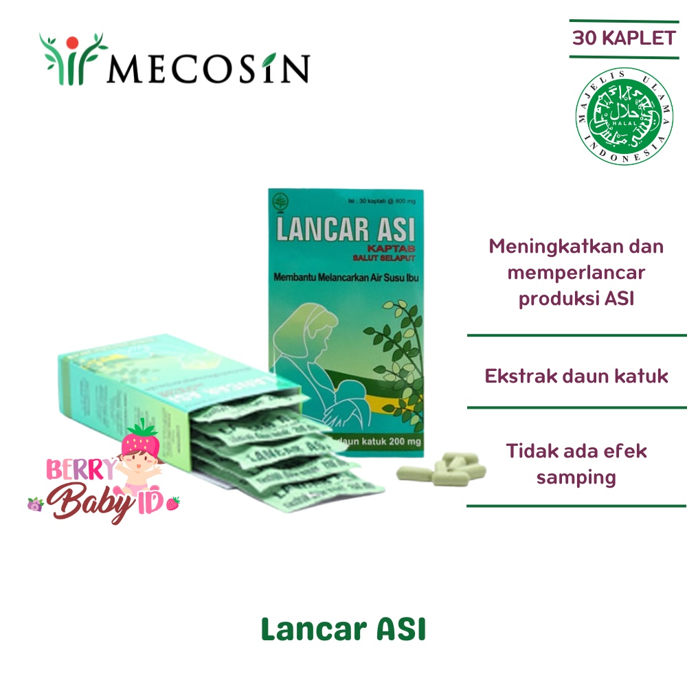 Jual Berry Baby - Mecosin Lancar ASI Booster Ekstrak Daun Katuk Kapsul Ibu Menyusui | Shopee ...