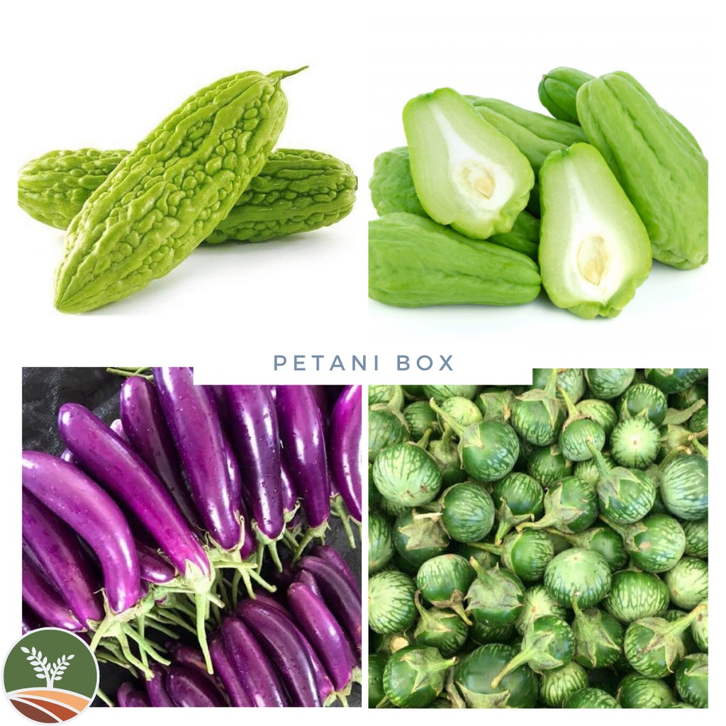 Jual Terong Ungu / Terong Hijau Bulat / Pare / Labu Siam Sayuran Segar ...