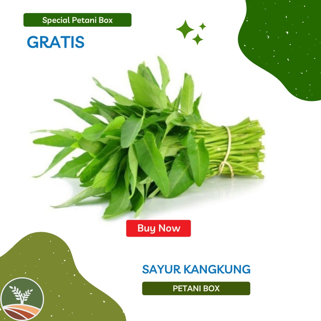 Jual Sayur Kangkung 1 ikat Sayuran segar Fresh Petani Box Kota Bandung ...