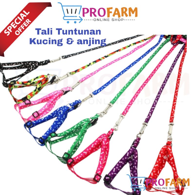 Jual Tali pet Warna berbilang Cheap dan mudah digunakan Tali Tuntunan ...