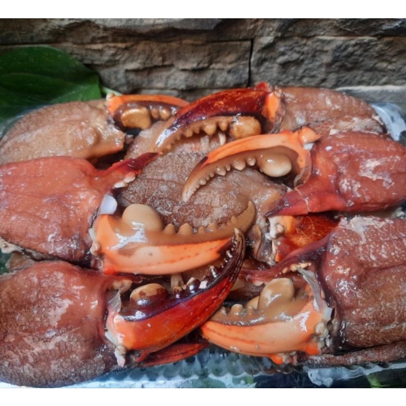 Jual CAPIT KEPITING KUPAS/CRAB CLAWS BESAR SIZE L | Shopee Indonesia