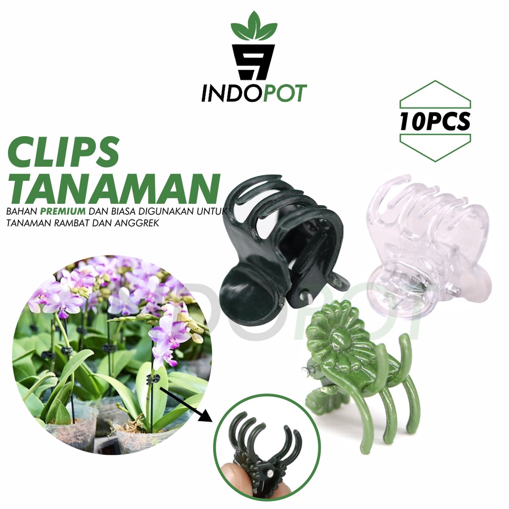 Jual (10pcs)Klip Tangkai Bunga Anggrek Penjepit Anggrek Tanaman Clips ...