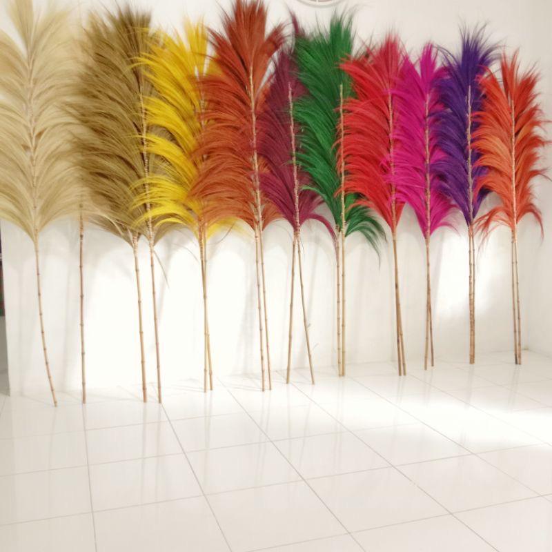 Jual Rayung Natural Dekorasi Bunga Kering Rayung Murah | Shopee Indonesia