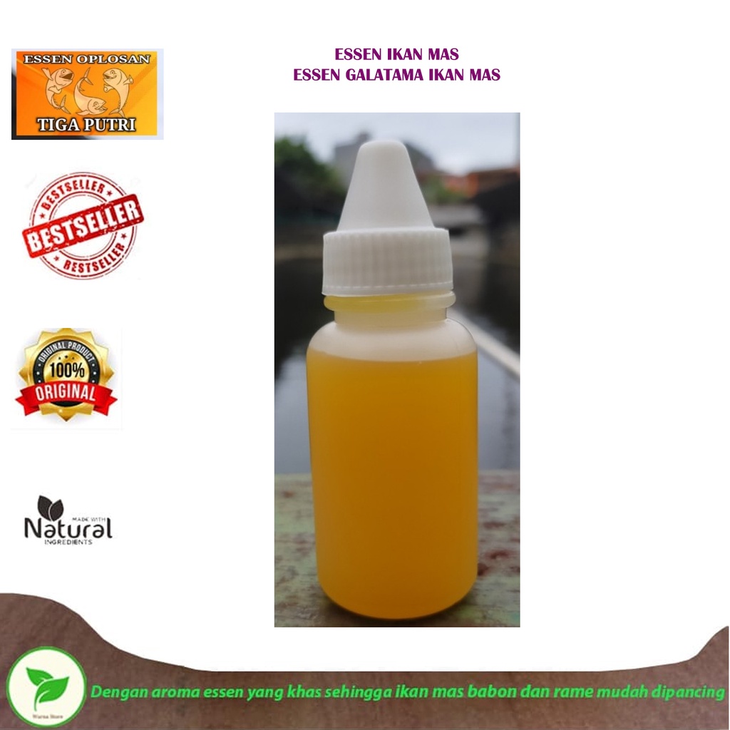 Jual Essen Oplosan Ikan Mas Babon Induk dan ikan Mas Rame Tiga Putri ...