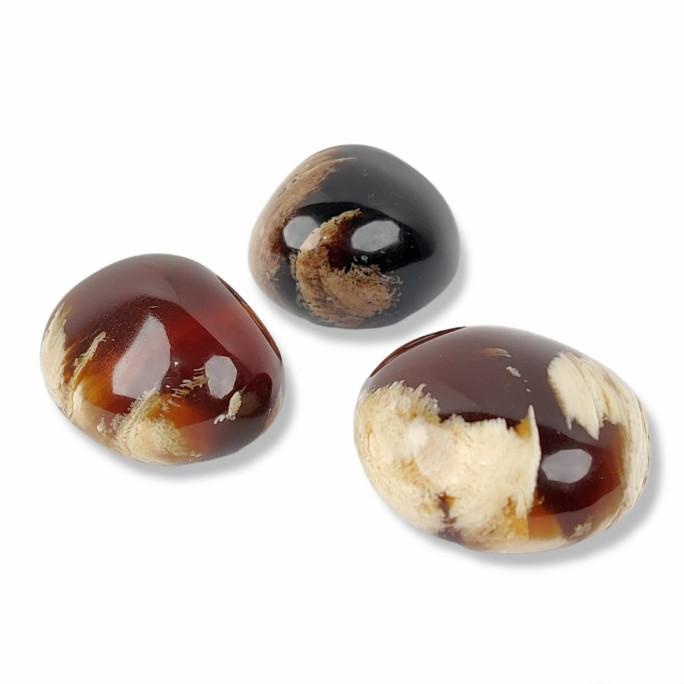 Jual Batu Akik Getah Katilayu Amber Motif Fosil Kayu Garansi Asli ...