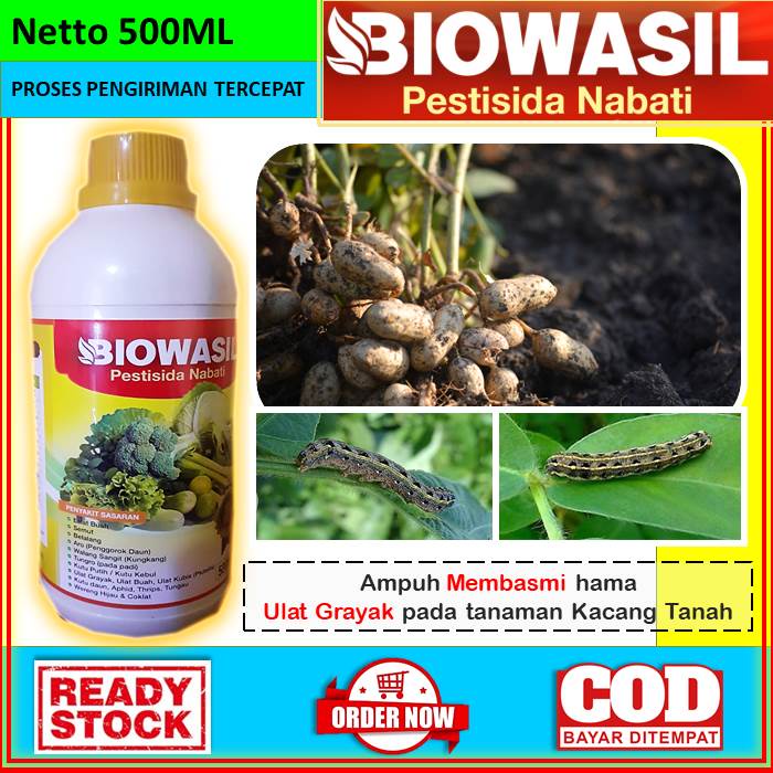 Jual OBAT ANTI HAMA ULAT GRAYAK UNTUK TANAMAN KACANG TANAH [BIOWASIL ...