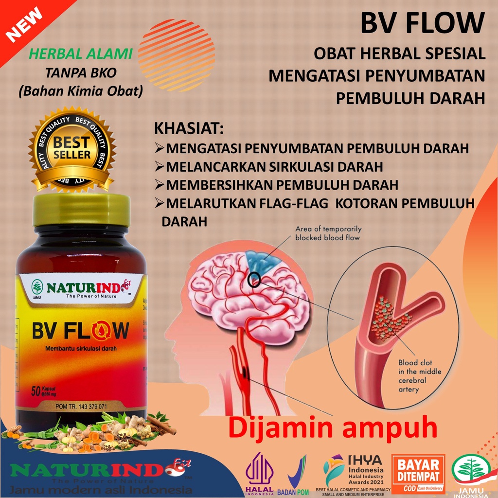 Jual Obat Herbal BV FLOW Naturindo Spesial Sirkulasi Darah Lancar ...