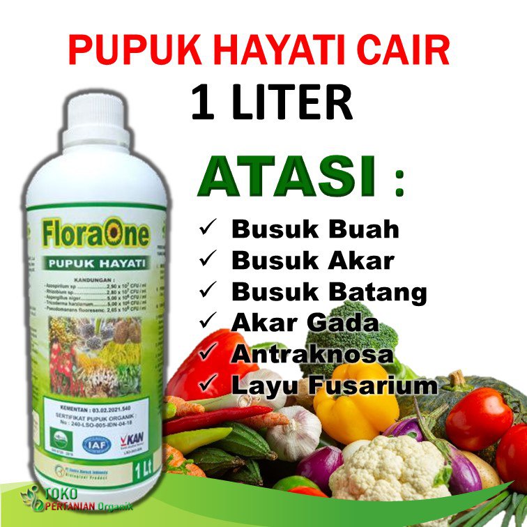 Jual PGPR PLANT GROWTH PROMOTING RHIZOBACTERIA (PGPR) SEBAGAI ...