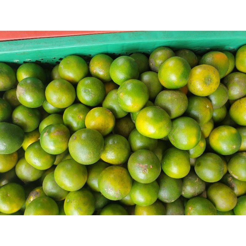 Jual jeruk peras jeruk wedang jeruk wedangan 1kg | Shopee Indonesia