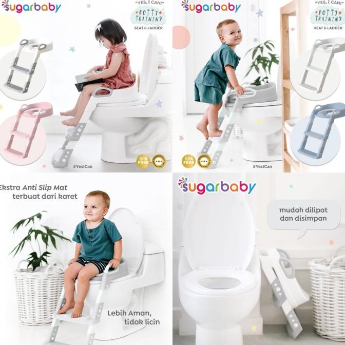 Jual Sugar Baby Potty Training Seat And Ladder Toilet Seat Pispot Bayi ...