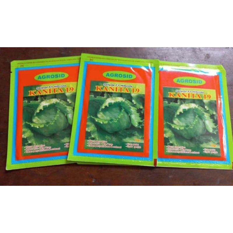 Jual Benih selada lettuce head kanita-19, 10 gram | Shopee Indonesia