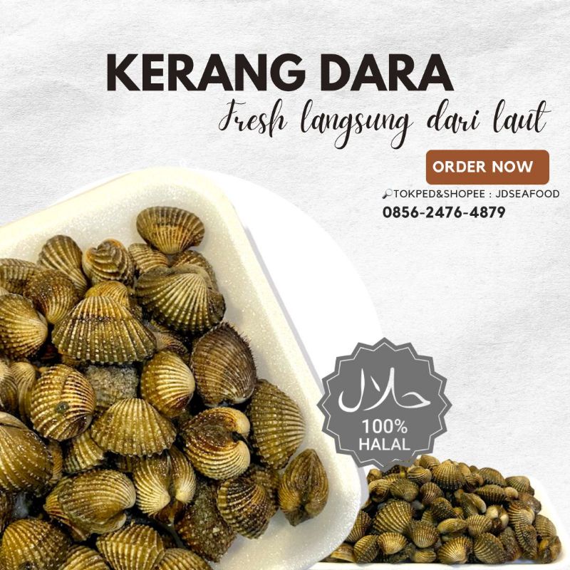 Jual Kerang dara fresh frozen 1 kg | Shopee Indonesia
