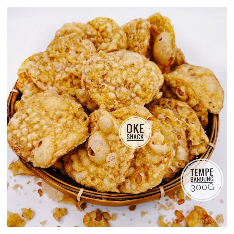 Jual KERIPIK TEMPE BULAT KHAS KEBUMEN NETTO 250 GRAM | Shopee Indonesia