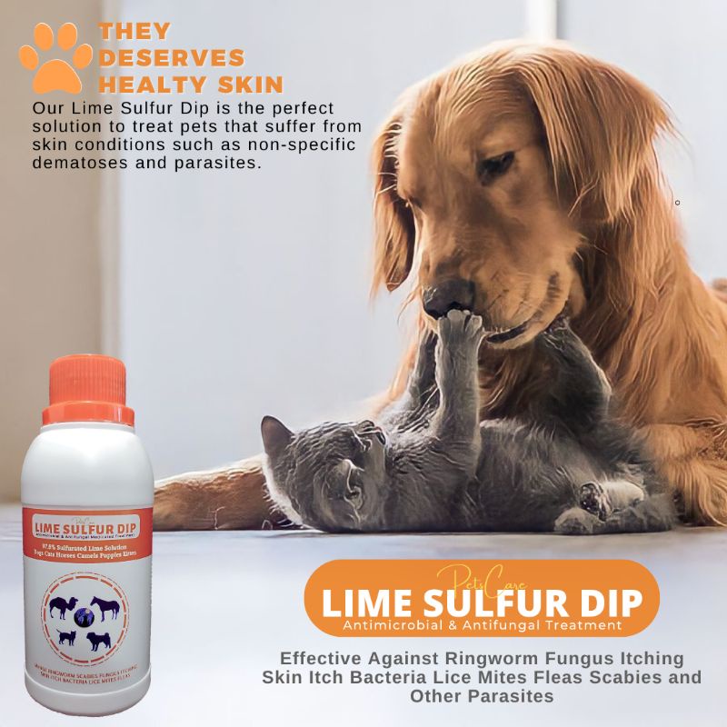 Jual LIME SULFUR DIP Anti Jamur Anti Kutu Anti Parasit dan Scabies pada ...