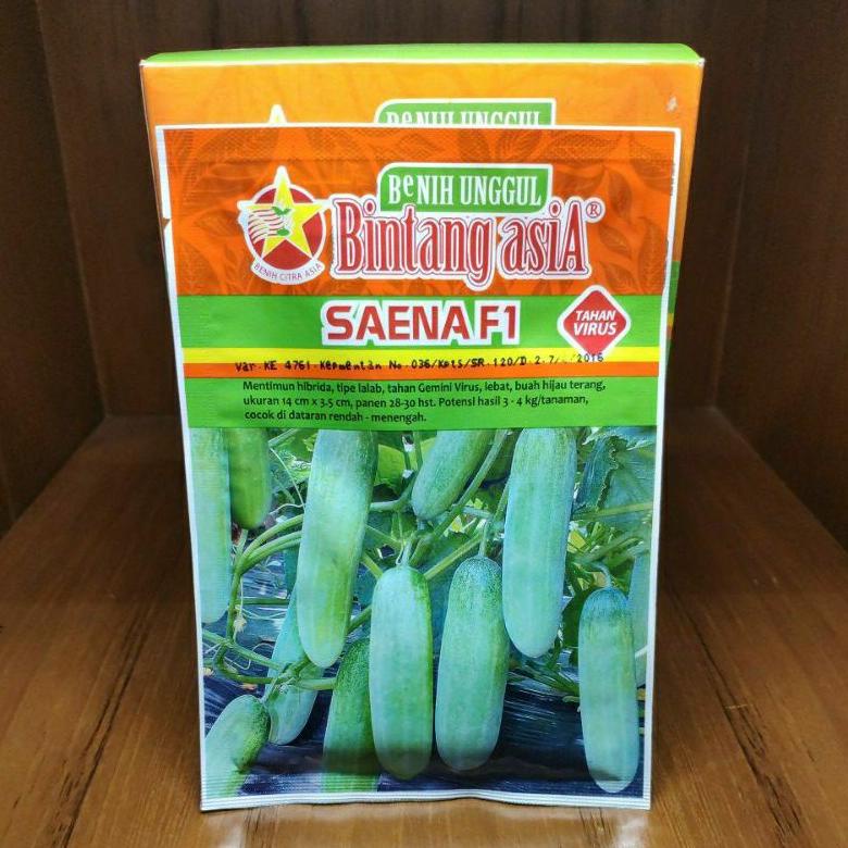 Jual BENIH TIMUN SAENA F1 - 20GR Non COD | Shopee Indonesia