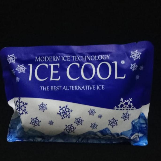 Jual Ice Gel Besar 500G Merk Cool Gel - Blue Ice Pack Bukan Ice Gel ...