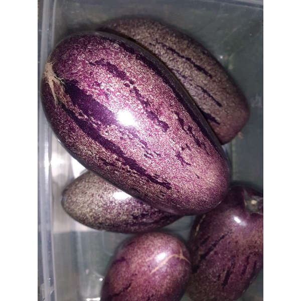 Jual Buah Pepino / Buah Melodi 800gr - 900gr | Shopee Indonesia