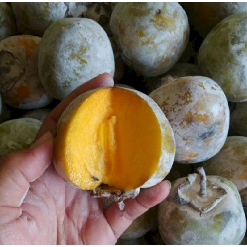 Jual Buah kesemek khas garut// buah genit 1kg | Shopee Indonesia
