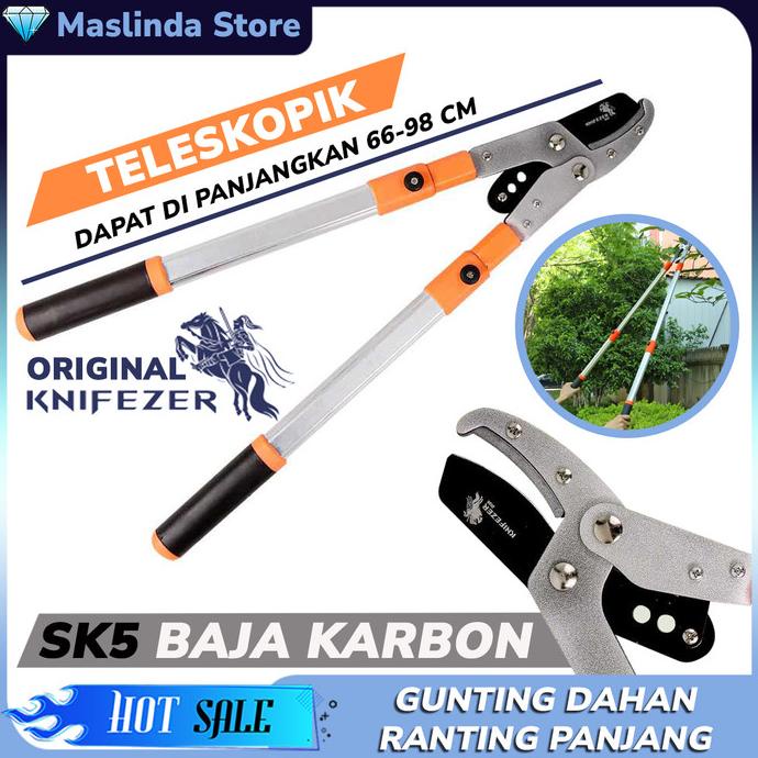 Jual Gunting Dahan Gagang Panjang Tinggi Ranting Pohon Taman Telescopic | Shopee Indonesia